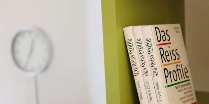 Reiss Profile Ausbildung