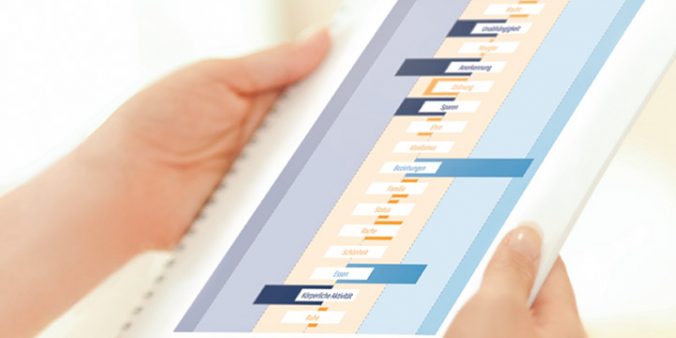 Reiss Motivation Profile Zertifizierung